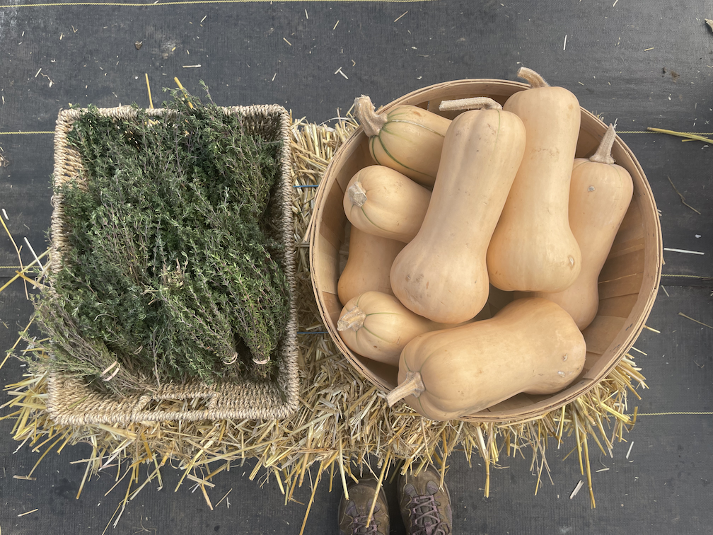 MIT students visit local farm supporting healthy food systems | MIT Sustainability
